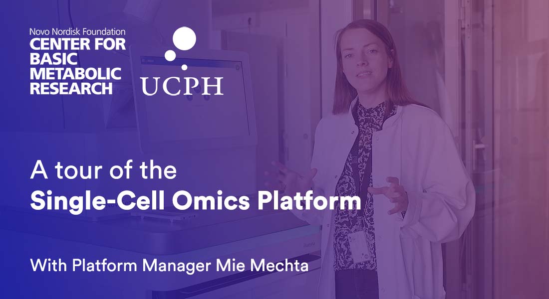 Take a tour of the Single-Cell Omics Platform – University of Copenhagen